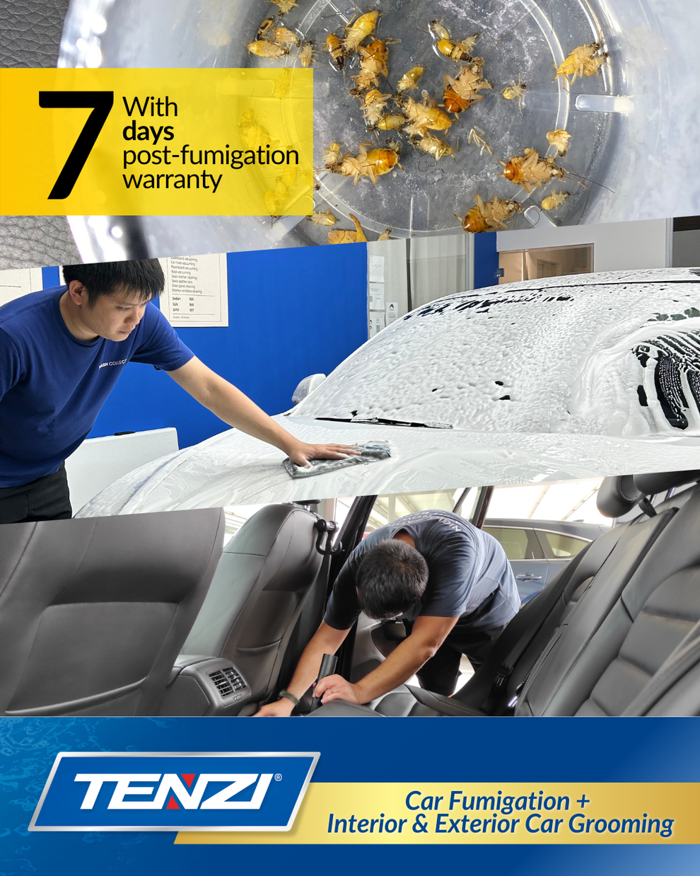 Car Fumigation + Interior & Exterior Bundle – Wash Collective